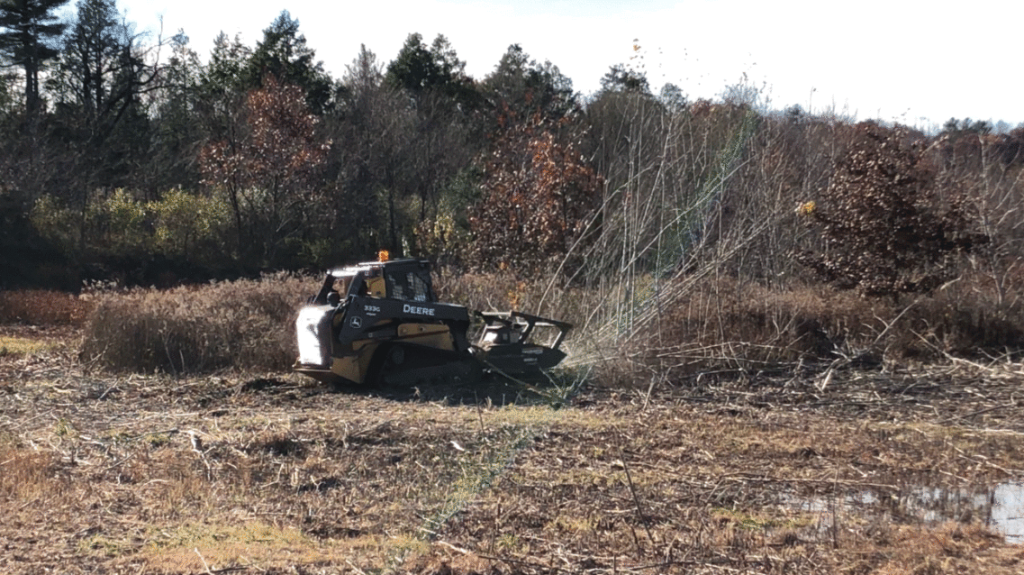 Airport Vegetation Management - Gale Associates