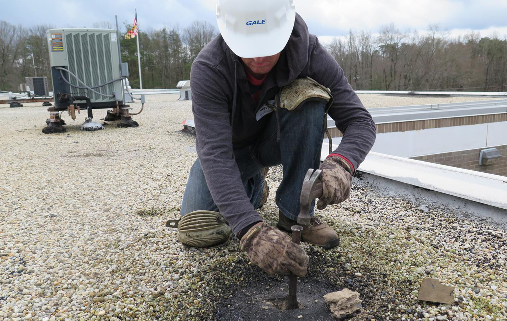 Join Our Team - Gale Associates