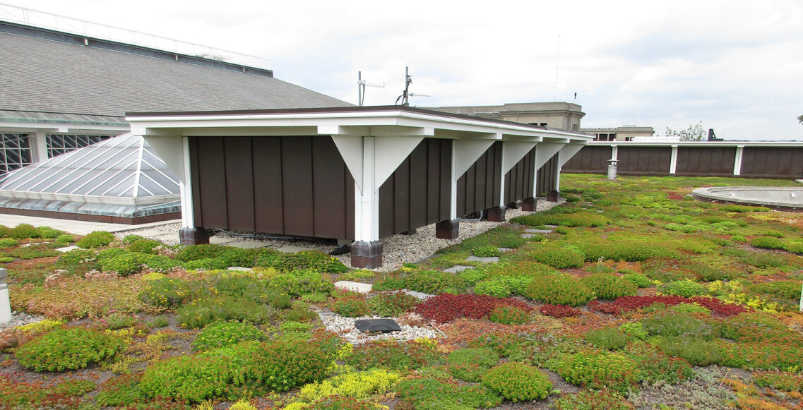 Roofs as a Resource: Components and Design of Green Roofs - Gale Associates
